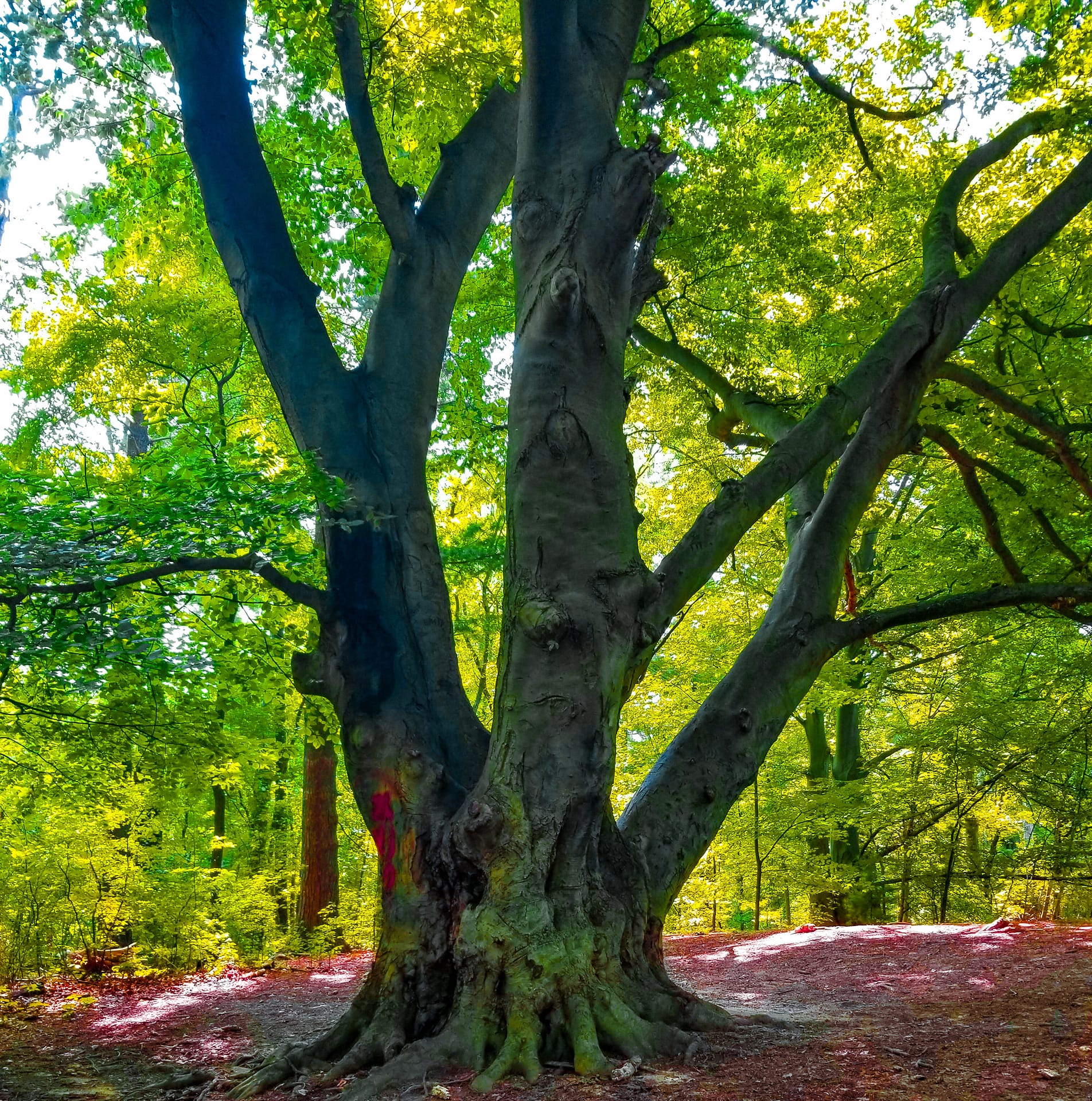 ABOUT – Ovve Solutions